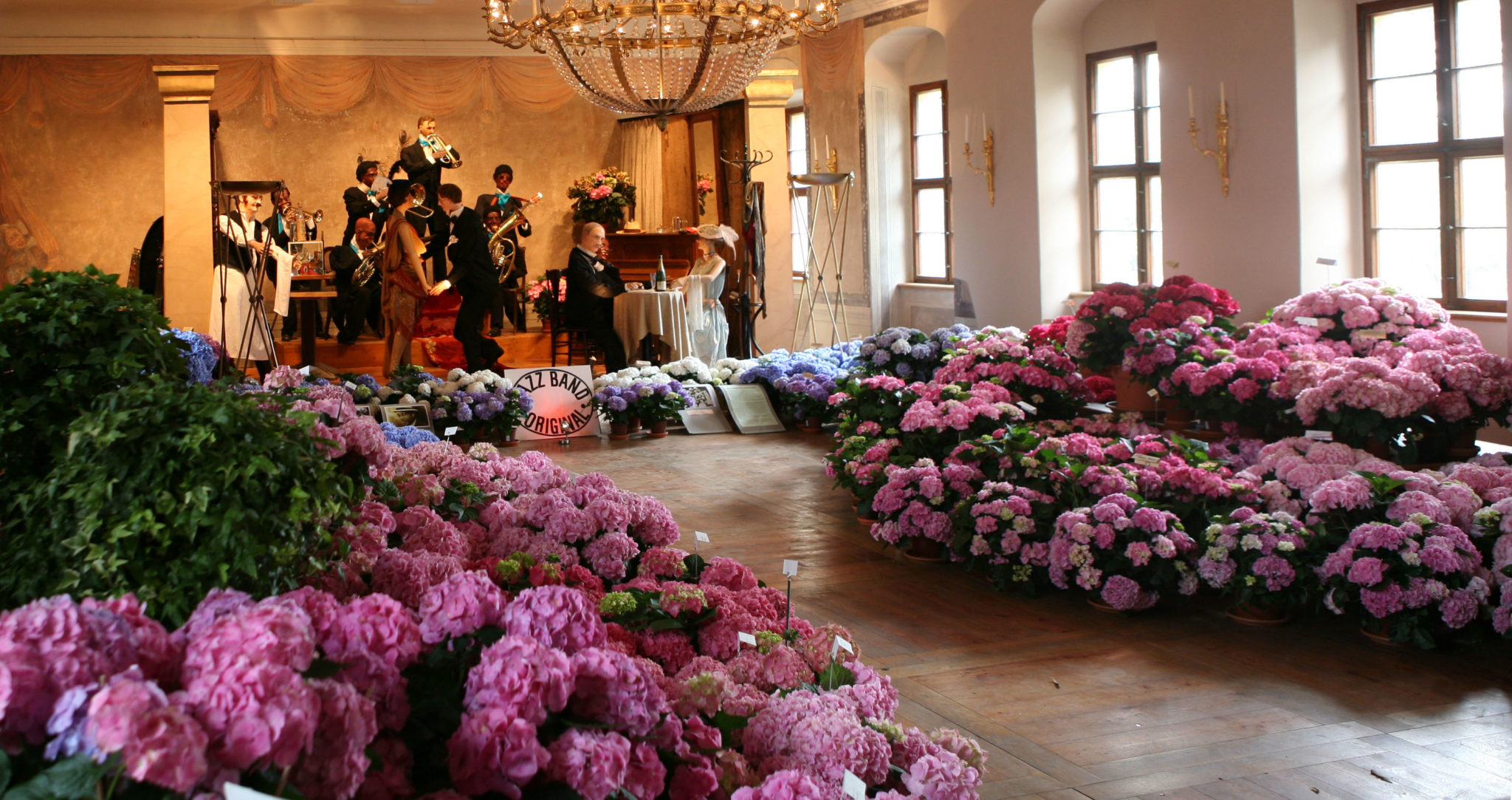 Spannende Schloss Zuschendorf Hortensie Bild